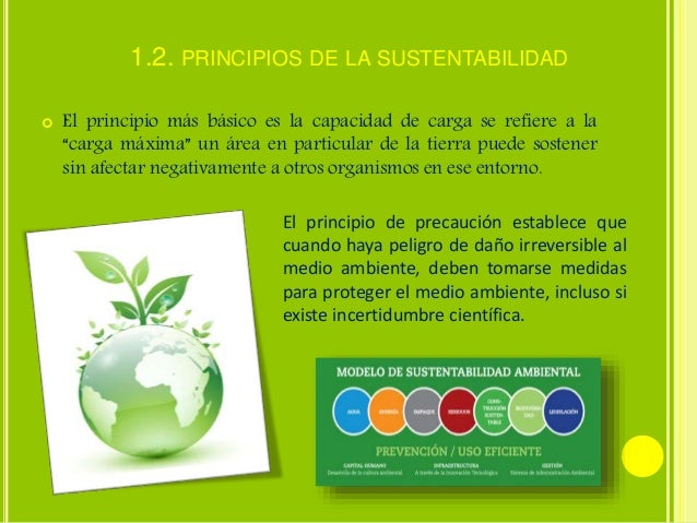 desarrollo sostenible