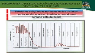 FUNCIONAMIENTO DEL FLUJO SANGUÍNEO PULMONAR DURANTE LA VENTILACIÓN Y LA ...