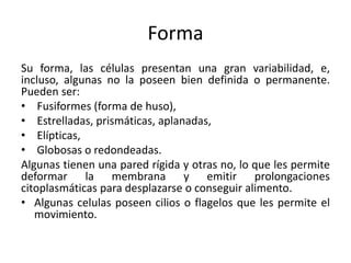 Diapositivas la-celula (1) | PPTX