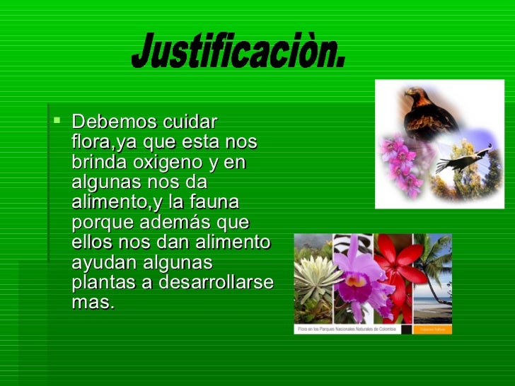 Es Contagiosa La Flora Cocoide - abstractor