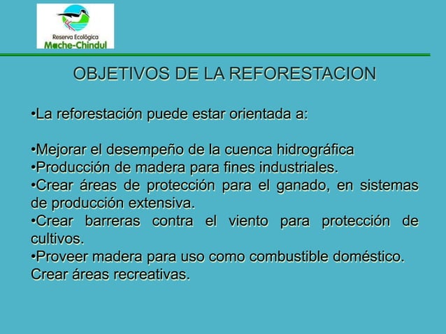Reforestacion- Reserva ecologica Mache Chindul | PDF | Agriculture ...