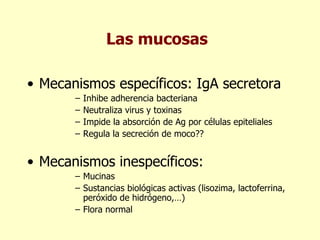 Diapositivas Tema 08. Mecanismos De Defensa Frente A La InfeccióN | PPT