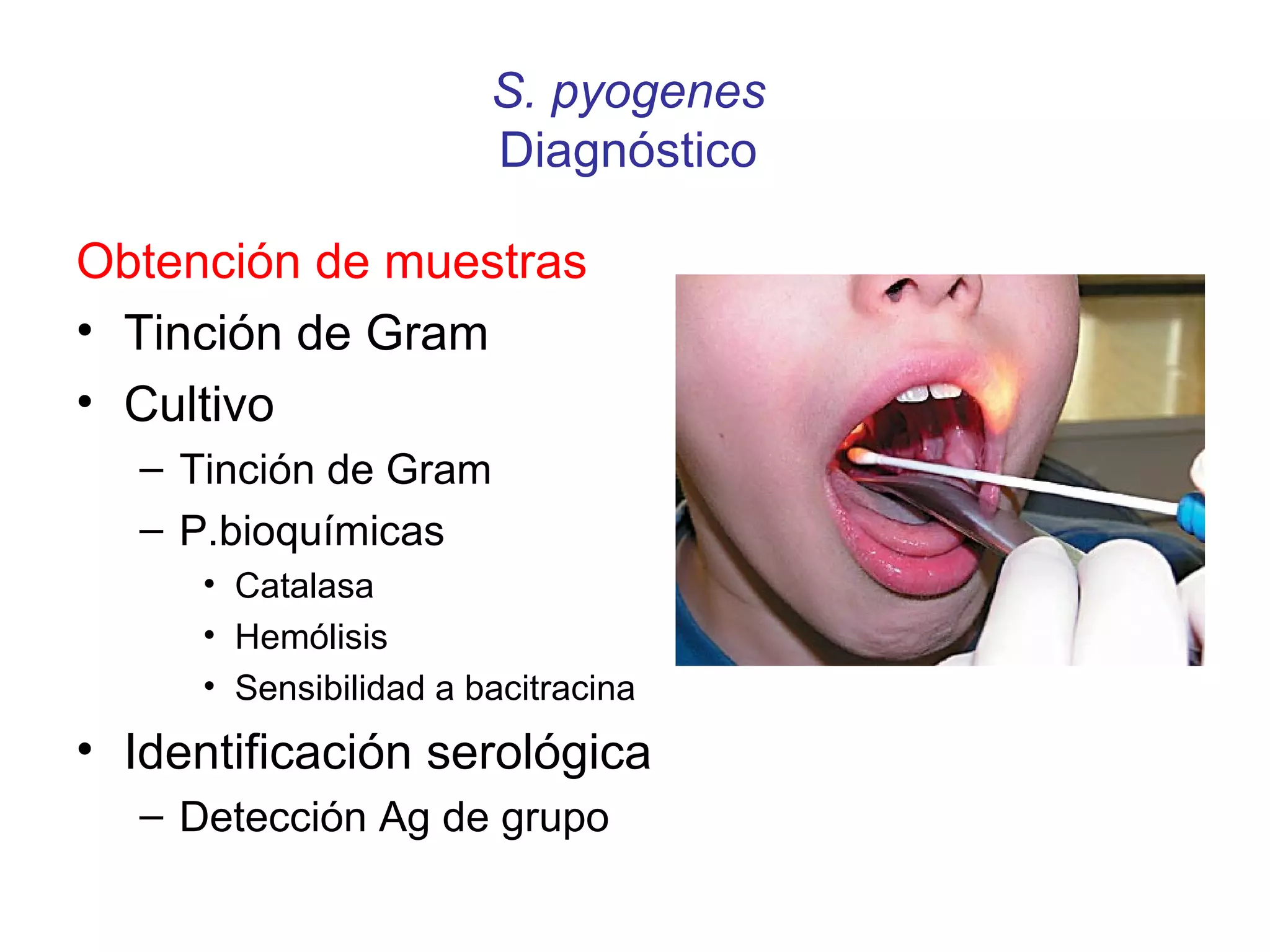 Diapositivas Tema 12.2. GéNero Streptococcus. GéNero Enterococcus | PPT