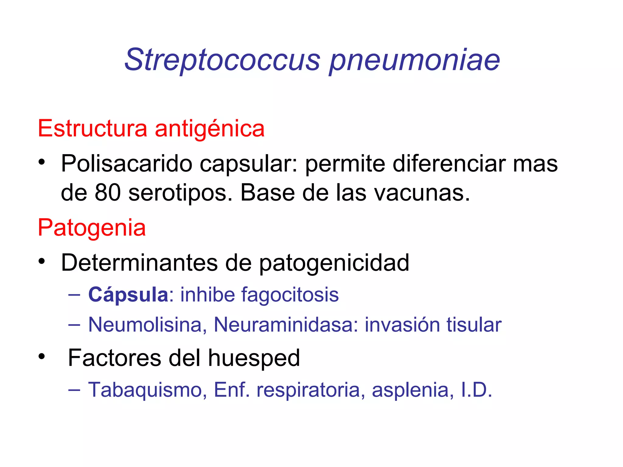 Diapositivas Tema 12.2. GéNero Streptococcus. GéNero Enterococcus | PPT