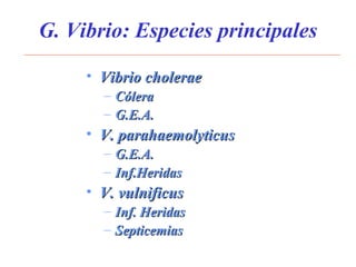 Diapositivas Tema 15 Familia Vibrionaceae. Familia Spirillaceae | PPT