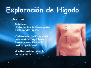 Exploracion fisica de abdomen parte 1 | PPTX