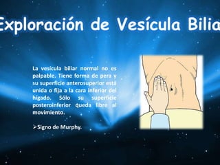 Exploracion fisica de abdomen parte 1 | PPTX