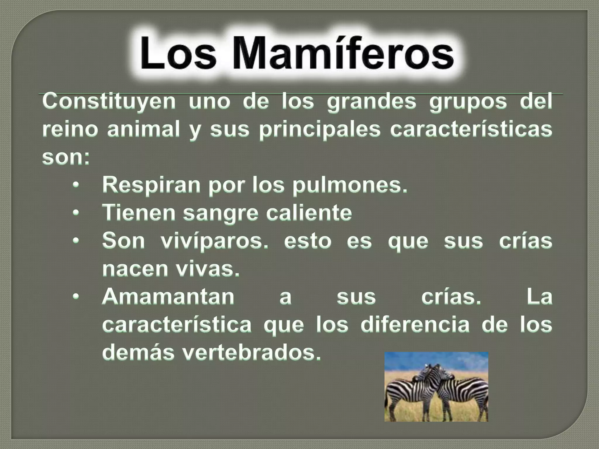 Diapositivas animales vertebrados | PPTX