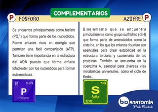 Bioelementos y biomoléculas inorgánicas | PPT