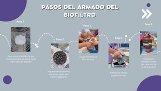 DIAPOSITIVAS BIOFILTRO.pdf