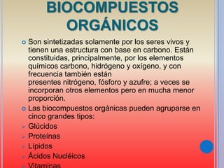 Diapositivas biomoléculas | PPTX
