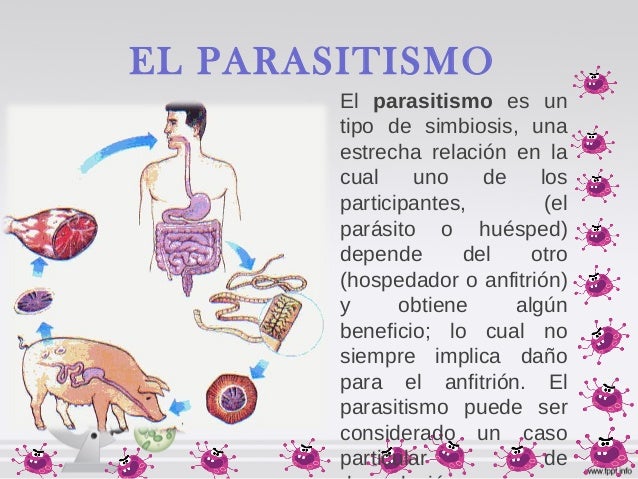 PARASITISMO-HUMANO