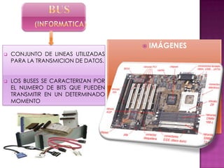 Diapositivas bus, tipos de buses, arquitectura | PPTX
