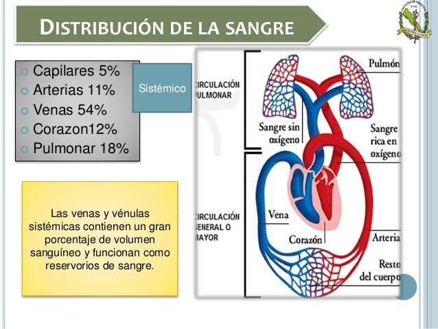 VISIÓN GENERAL DE LA CIRCULACIÓN;BIOFÍSICA DE LA PRESIÓN,EL FLUJO Y LA ...