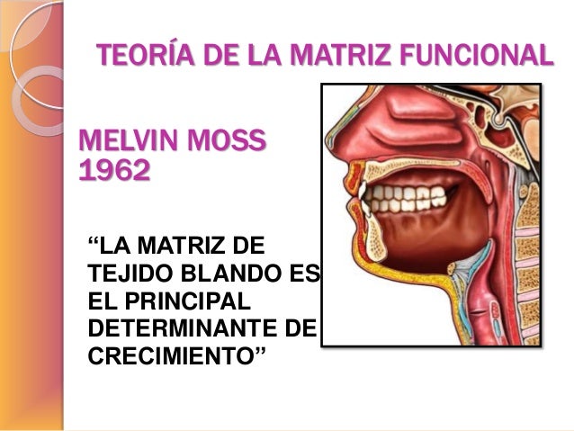 Descubre la Teoría de la Matriz Funcional de Moss: Una Herramienta ...