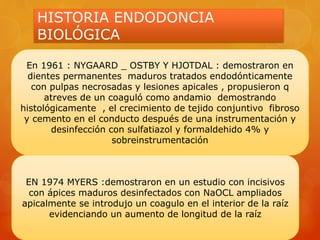 Diapositivas de articulo | PPTX