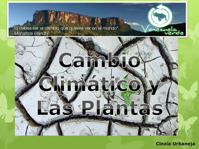 Cambio Climático Afecta La Biodiversidad Venezolana