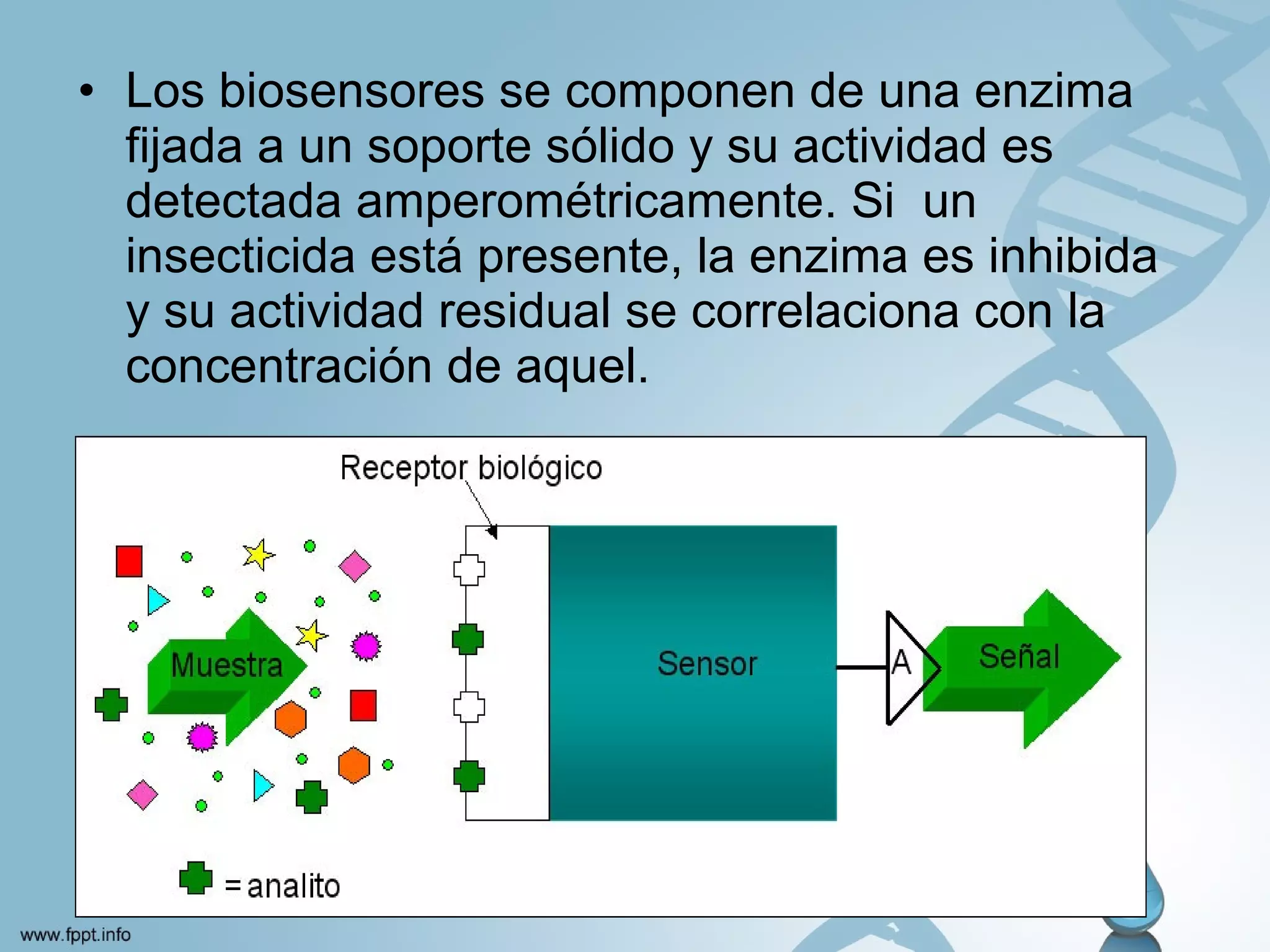 Diapositivas de carbamatos | PPT
