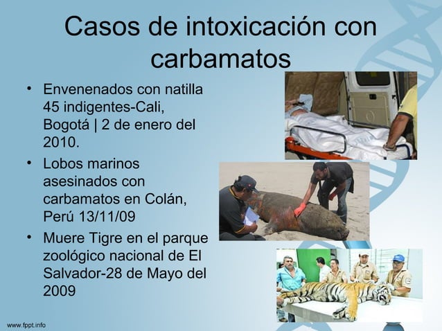 Diapositivas de carbamatos | PPT