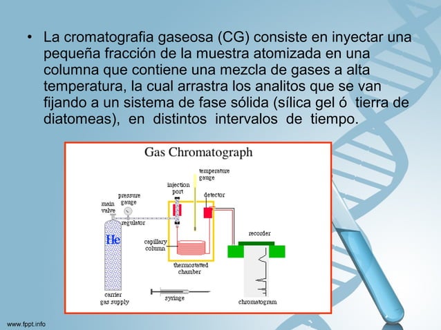 Diapositivas de carbamatos | PPT