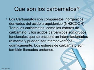 Diapositivas de carbamatos | PPT