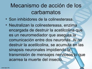 Diapositivas de carbamatos | PPT
