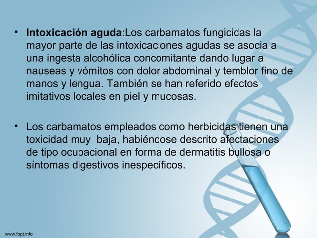 Diapositivas de carbamatos | PPT