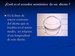 Clase Paraleligrafo o Paralelografo | PPTX