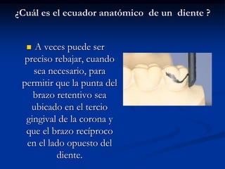 Clase Paraleligrafo o Paralelografo | PPTX
