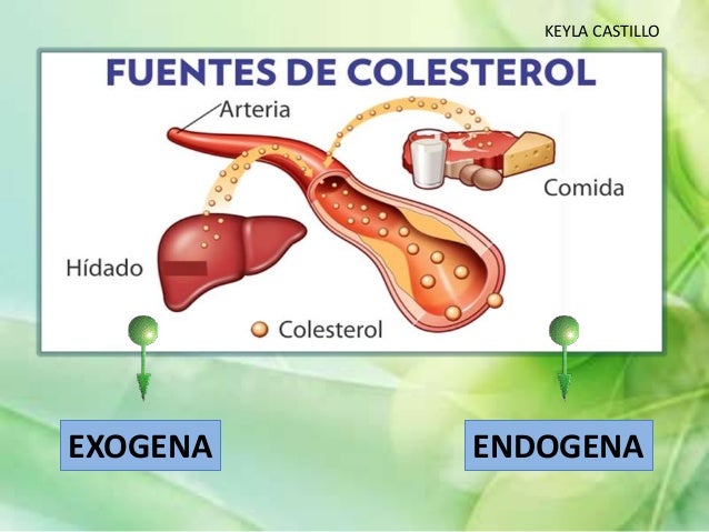 Diapositivas de colesterol 2016