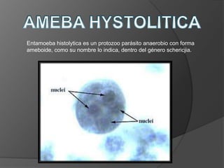 Parasitosis Ambato Ecuador | PPTX