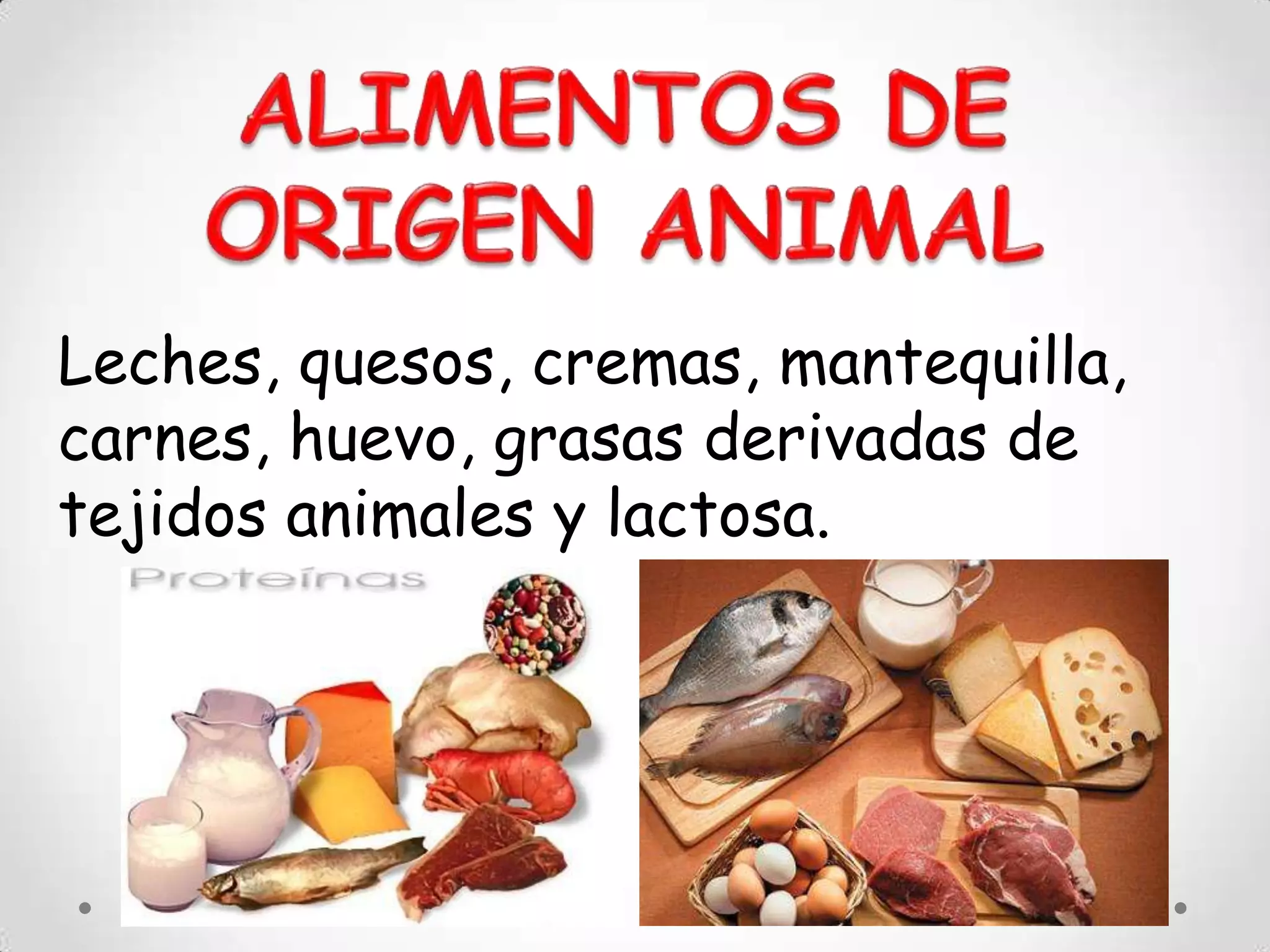 Clasificación De Los Alimentos | PPTX