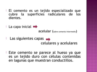 Diapositivas del cemento | PPT