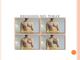 DIAPOSITIVAS DEL EXAMEN FISICO DEL TÓRAX.pdf