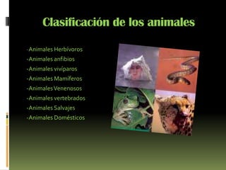 Diapositivas de los animales | PPTX