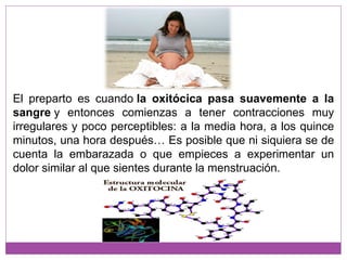 Diapositivas del preparto | PPT