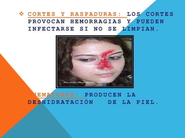 sentido del tacto | PPT