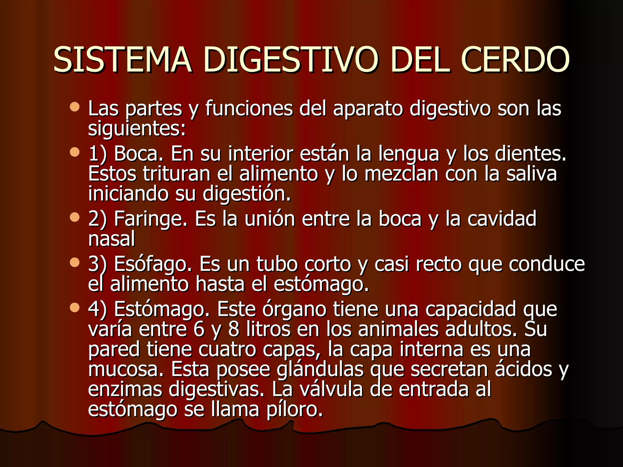Diapositivas Del Sistema Digestivo En Cerdos