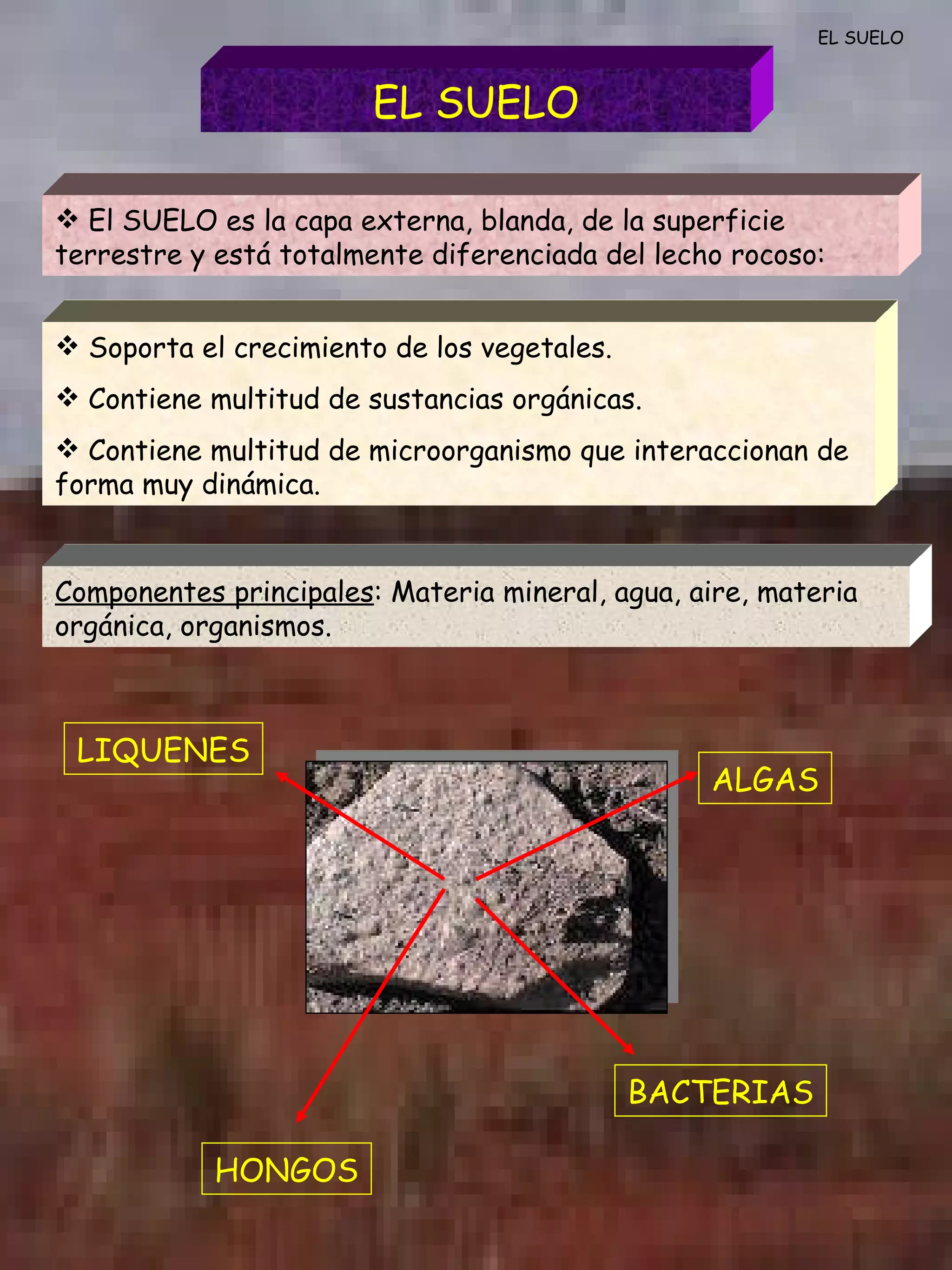 Diapositivas Del Suelo | PPT