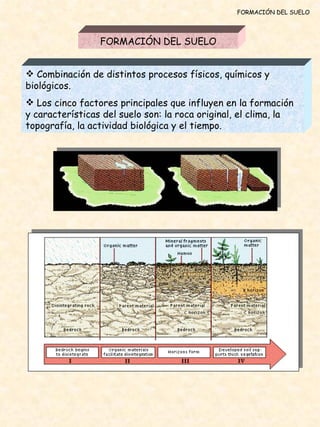 Diapositivas Del Suelo | PPT