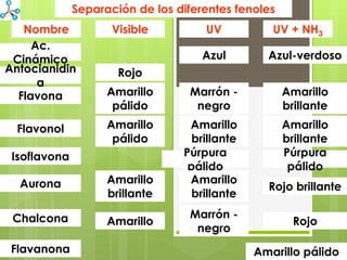 Diapositivas de quimica | PPTX