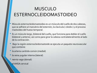 Diapositivas de Semiologia del cuello 2.0.pptx