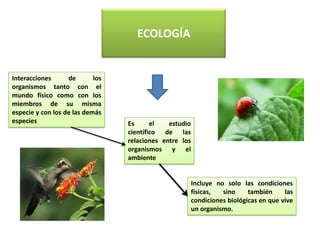 Diapositivas ecologái | PPTX