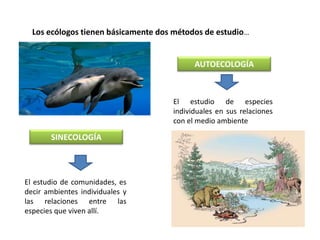 Diapositivas ecologái | PPTX