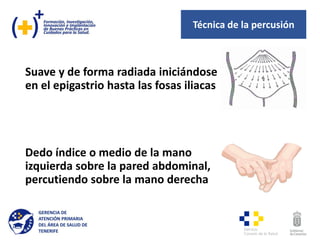 Semiologia y exploración del abdomen en general | PDF