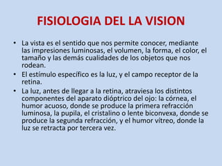 ÓRGANOS DE LOS SENTIDOS (EL OJO) | PPTX