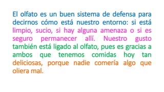 Diapositivas El Olfato.pptx
