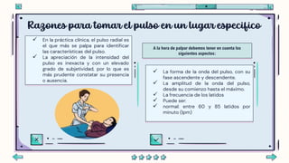Frecuencia Cardiaca y Respiratoria | PPTX