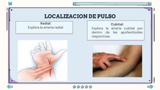 Frecuencia Cardiaca y Respiratoria | PPTX