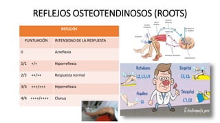 diapositivas exposición de la universidad UNibe.pptx